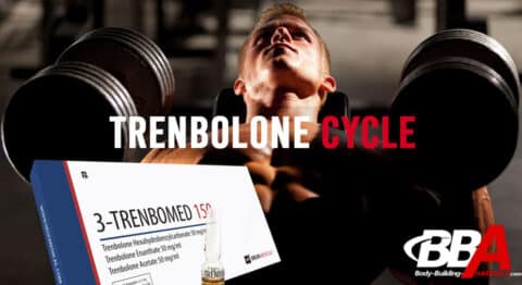 Trenbolona: Guía completa sobre el ciclo de trembolona - BODY-BUILDING-ANABOLICS.is