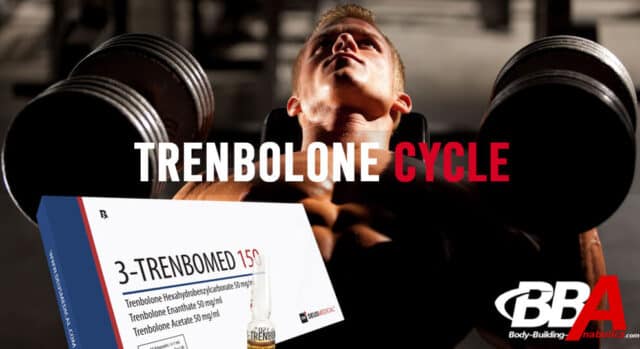 Trenbolone : guide complet sur le cycle de trenbolone - BODY-BUILDING ...