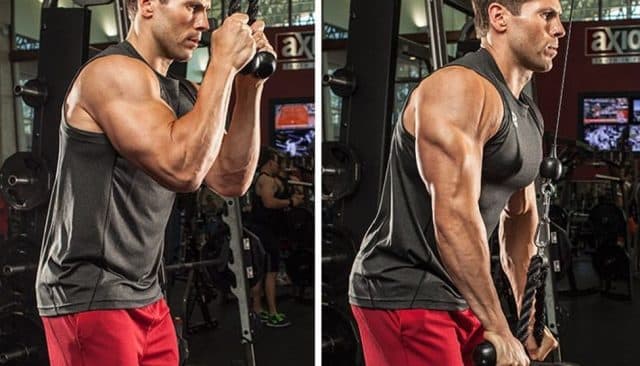 Beginning Bodybuilding: What you need to know? - BODY-BUILDING-ANABOLICS.is